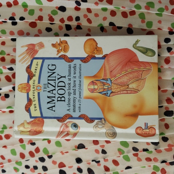 Running Press | Other | The Unfolding World The Amazing Body Pocket ...